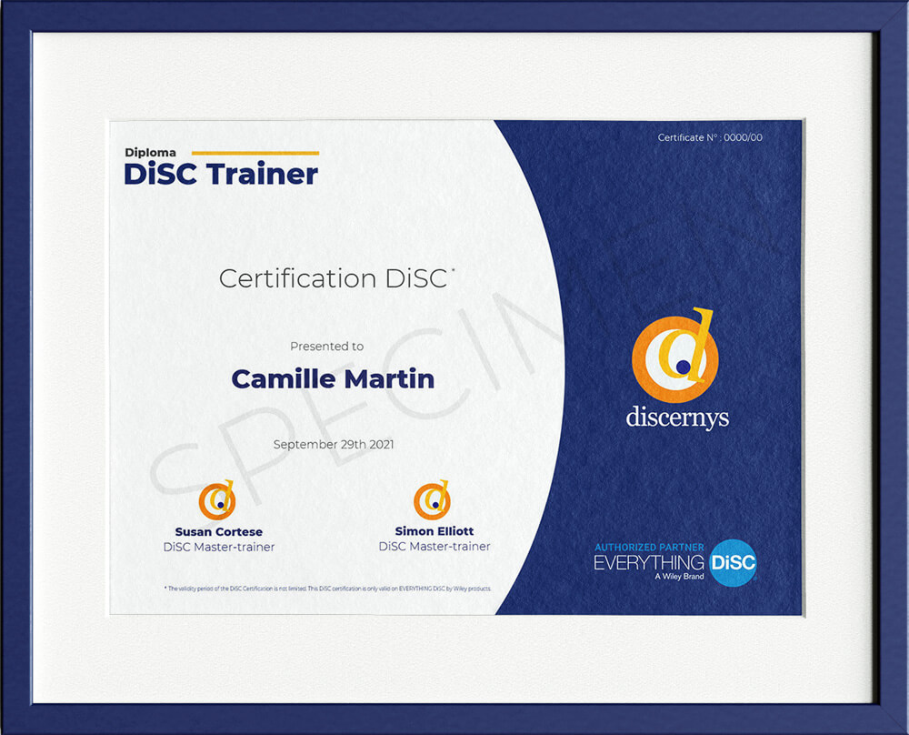 DiSC Facilitation Certification: Human Relations Catalyst